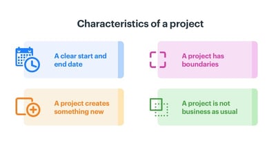 What is a Project in Project Management?